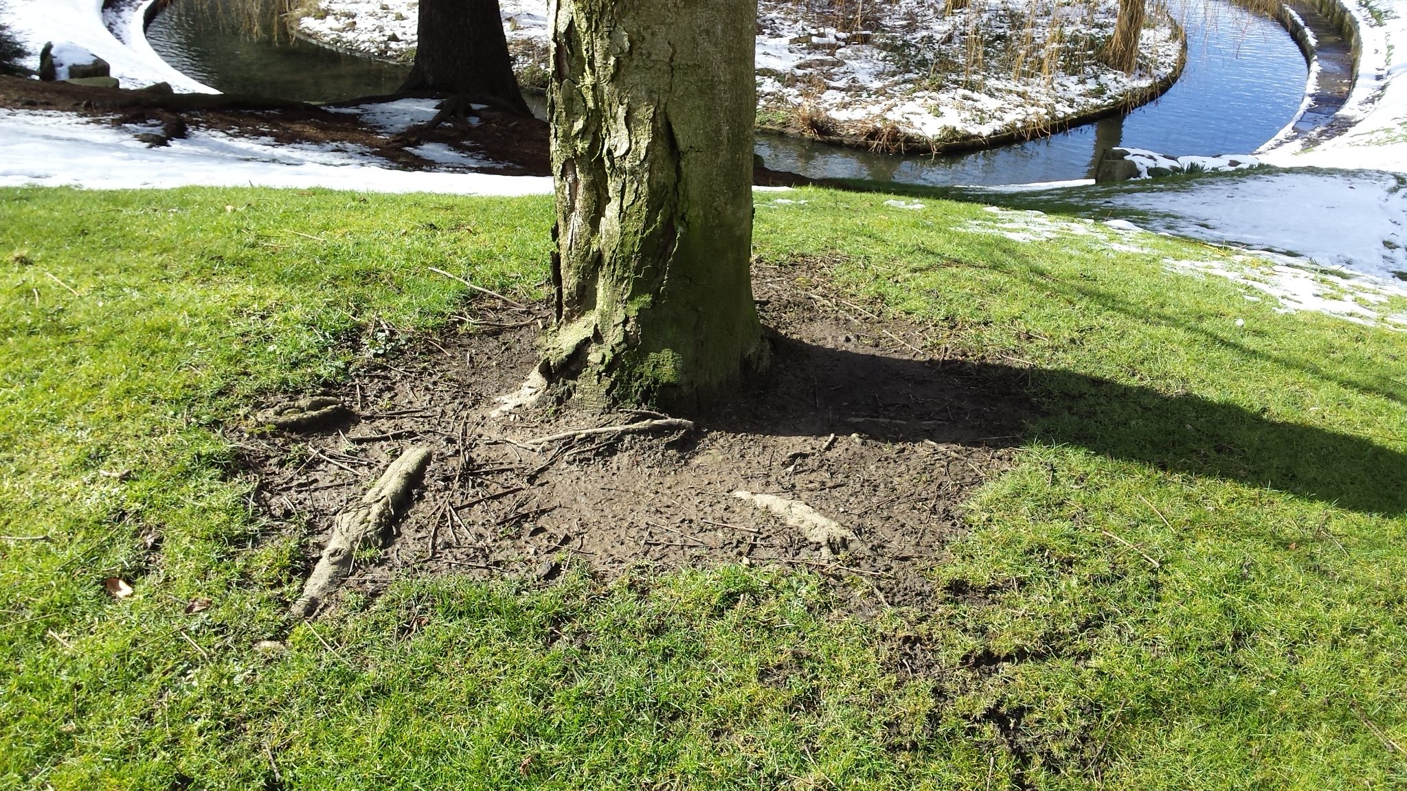 Keep off the grass – long is the new short! - Bradford District Parks