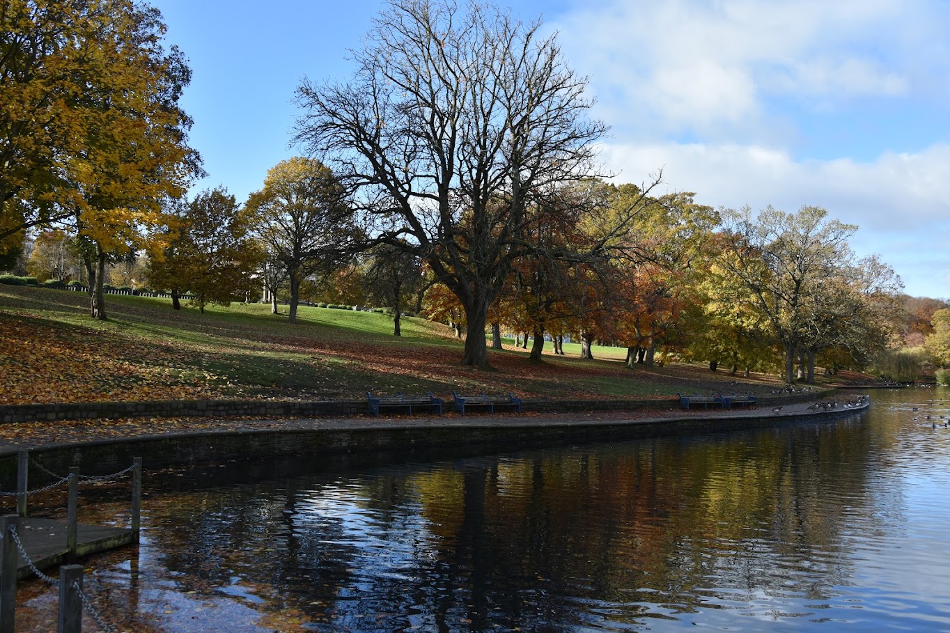 Lister Park lake edge - Bradford District Parks