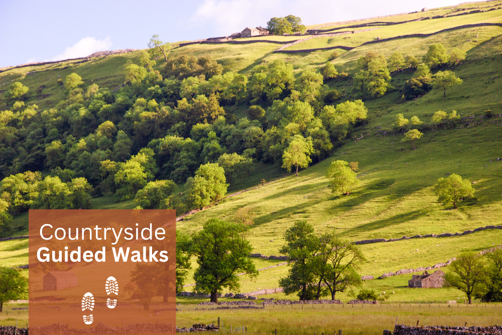 Countryside guided walk – Nesfield/ Dean Beck/ Upper Austby - Bradford ...